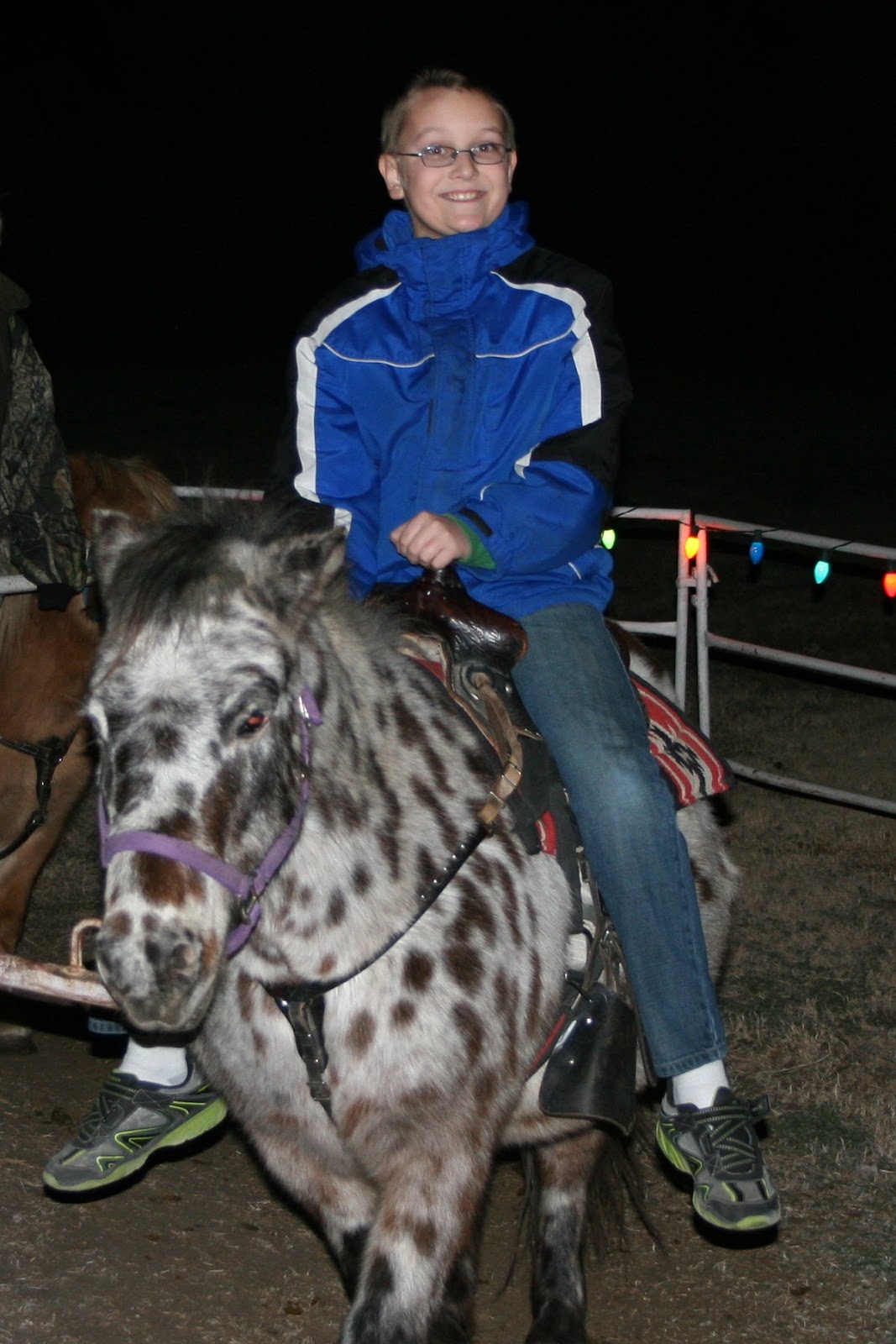 The Logan's: C-Arrow Stables