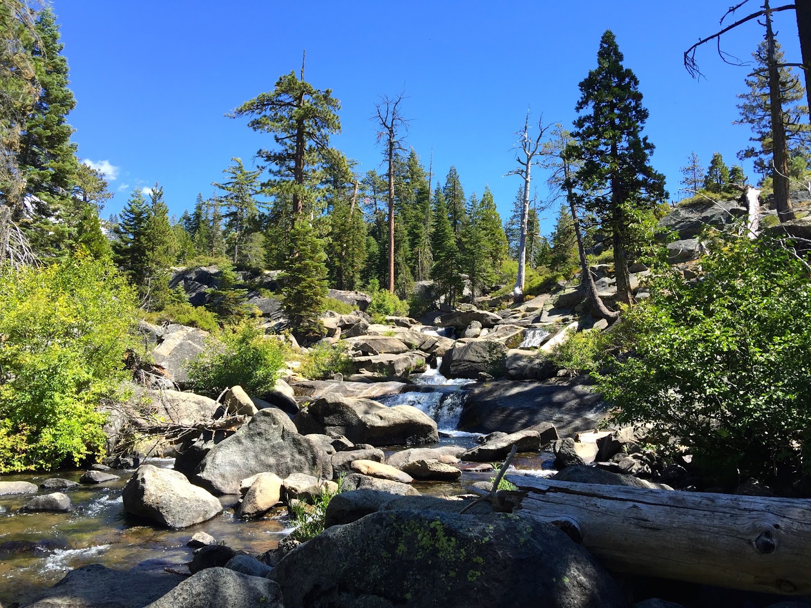 Backpacking Silver Fork
