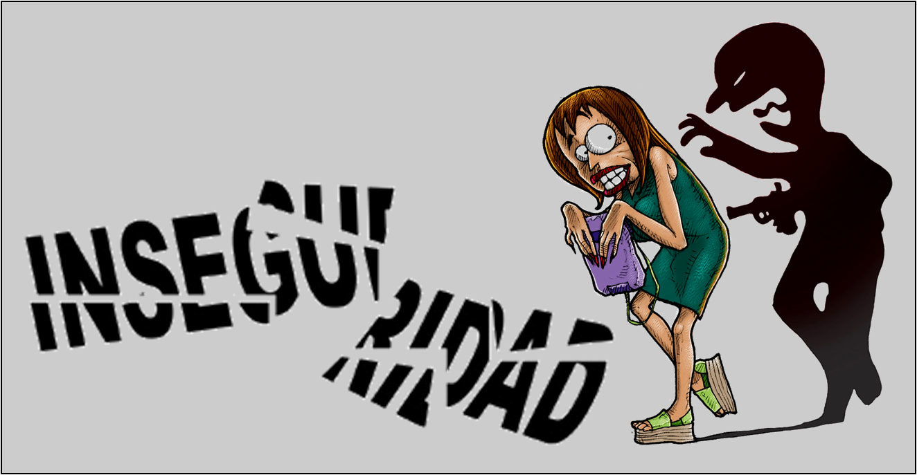 Inseguridad Ciudadana: INSEGURIDAD CIUDADANA