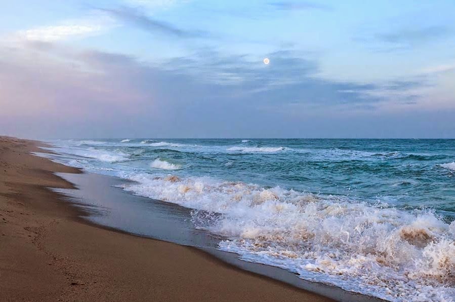Turistas y Piratas: Nantucket, la isla de Moby Dick