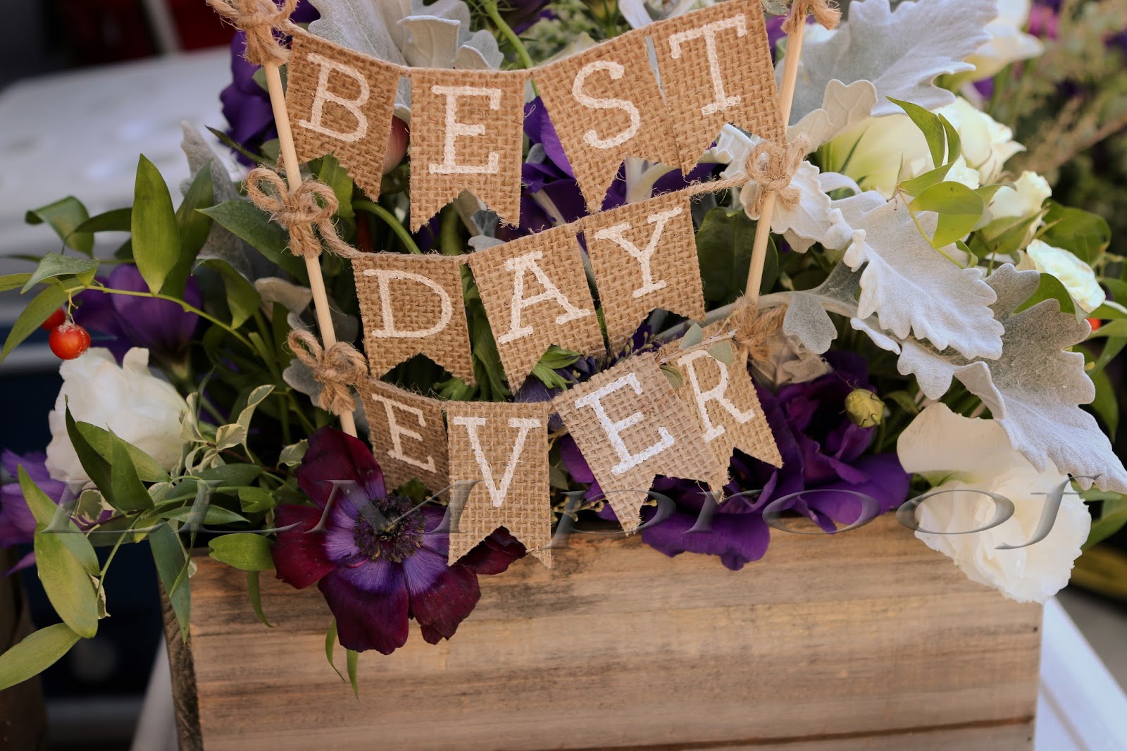 Laura's Lasting Moments Photography