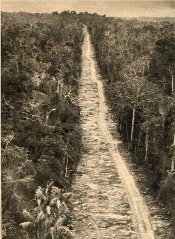 Contexto histórico das Rodovias Bernardo Sayão (BR-010) e Capitão Pedro ...