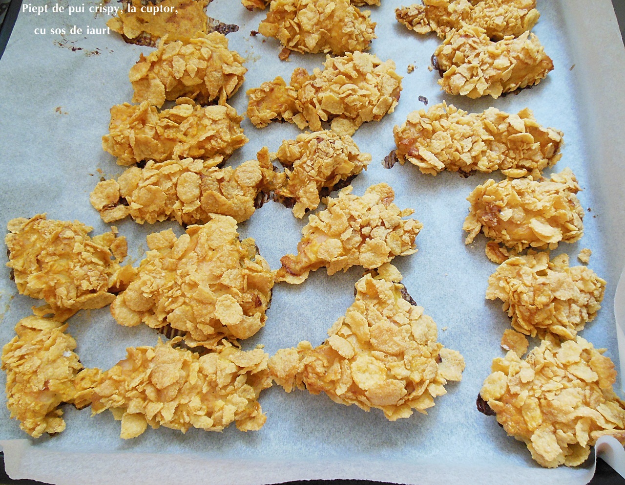 Rocsy in bucatarie: Piept de pui crispy, la cuptor, cu sos de iaurt