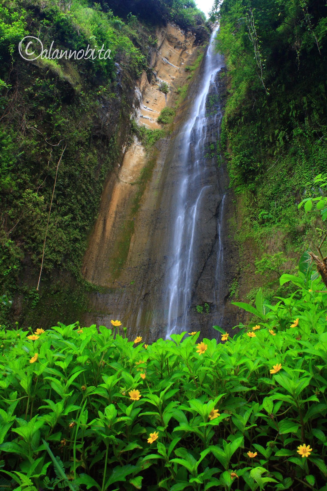 Keindahan Curug Sidoharjo, Kulon Progo | Catatan Nobi