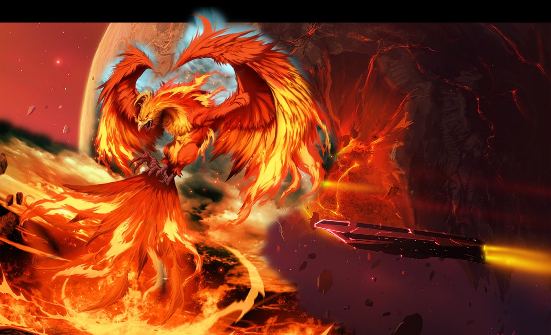 TATTOO FÊNIX: Wallpaper Fênix