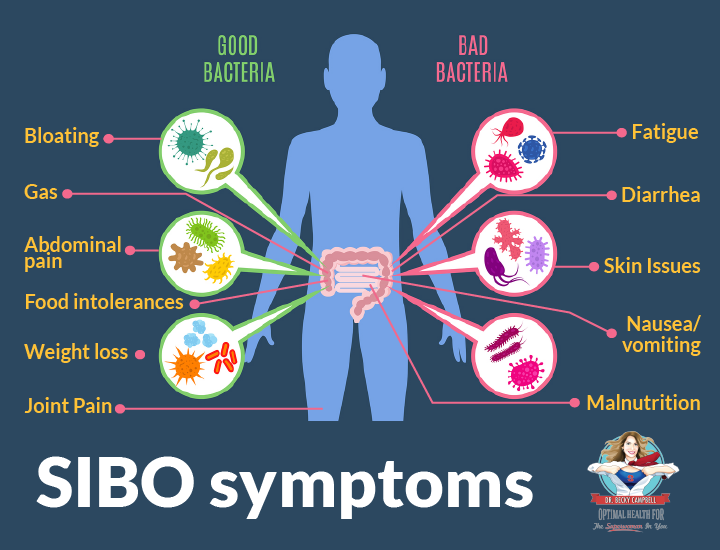 Suolisto Kuntoon: SIBO - Ohutsuolen bakteerien liikakasvu - Yllättävä ...