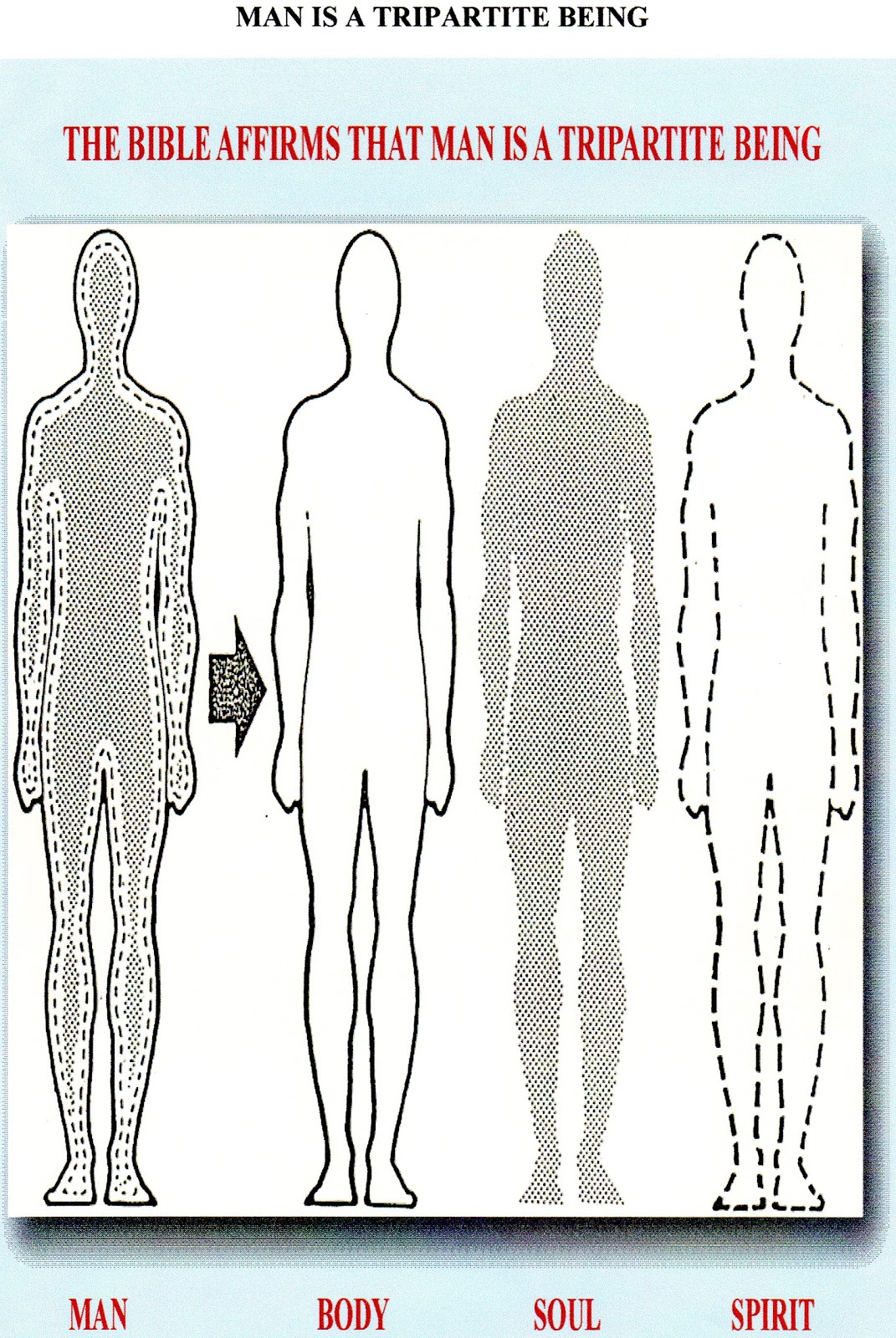 THE SERVANT OF GOD / EL SIERVO DE DIOS: MAN IS A TRIPARTITE BEING