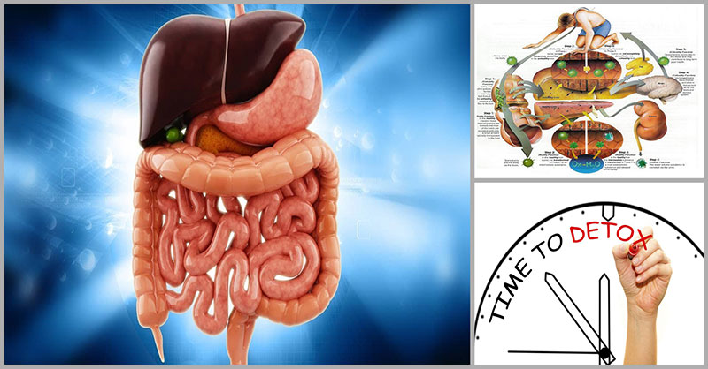 Natural Ways To Free The Body From Toxins And Shine With Health | Dr ...