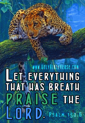 Holy Bible Animated GIF Images: Pretty Big Cat Holy Bible Verse That's ...