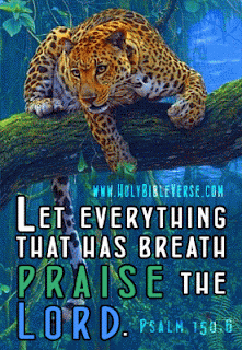 Holy Bible Animated GIF Images: Pretty Big Cat Holy Bible Verse That's ...