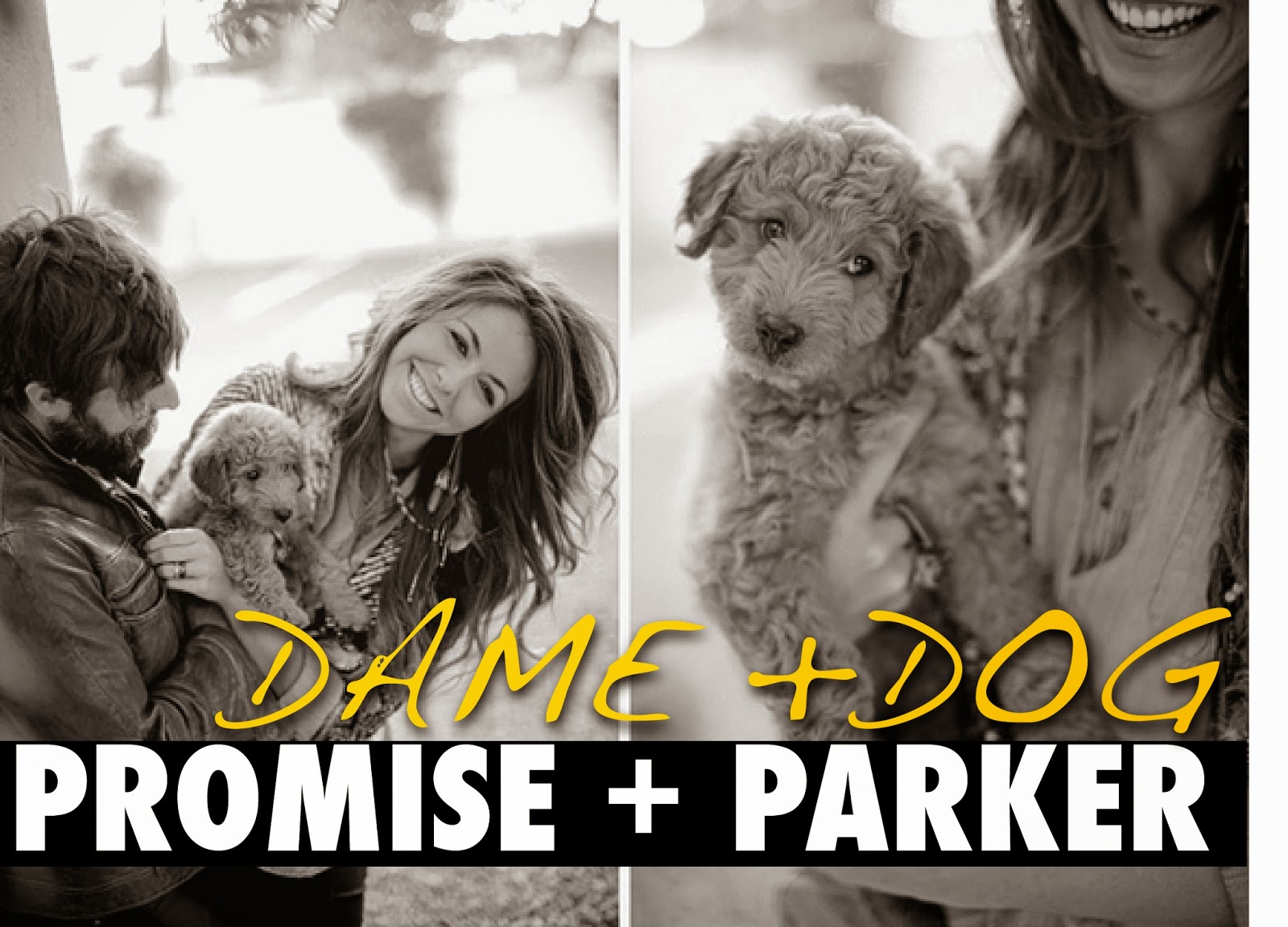 Gypsy Beard: DAME + DOG: Promise Tangeman-Wurzell & Mr Parker.