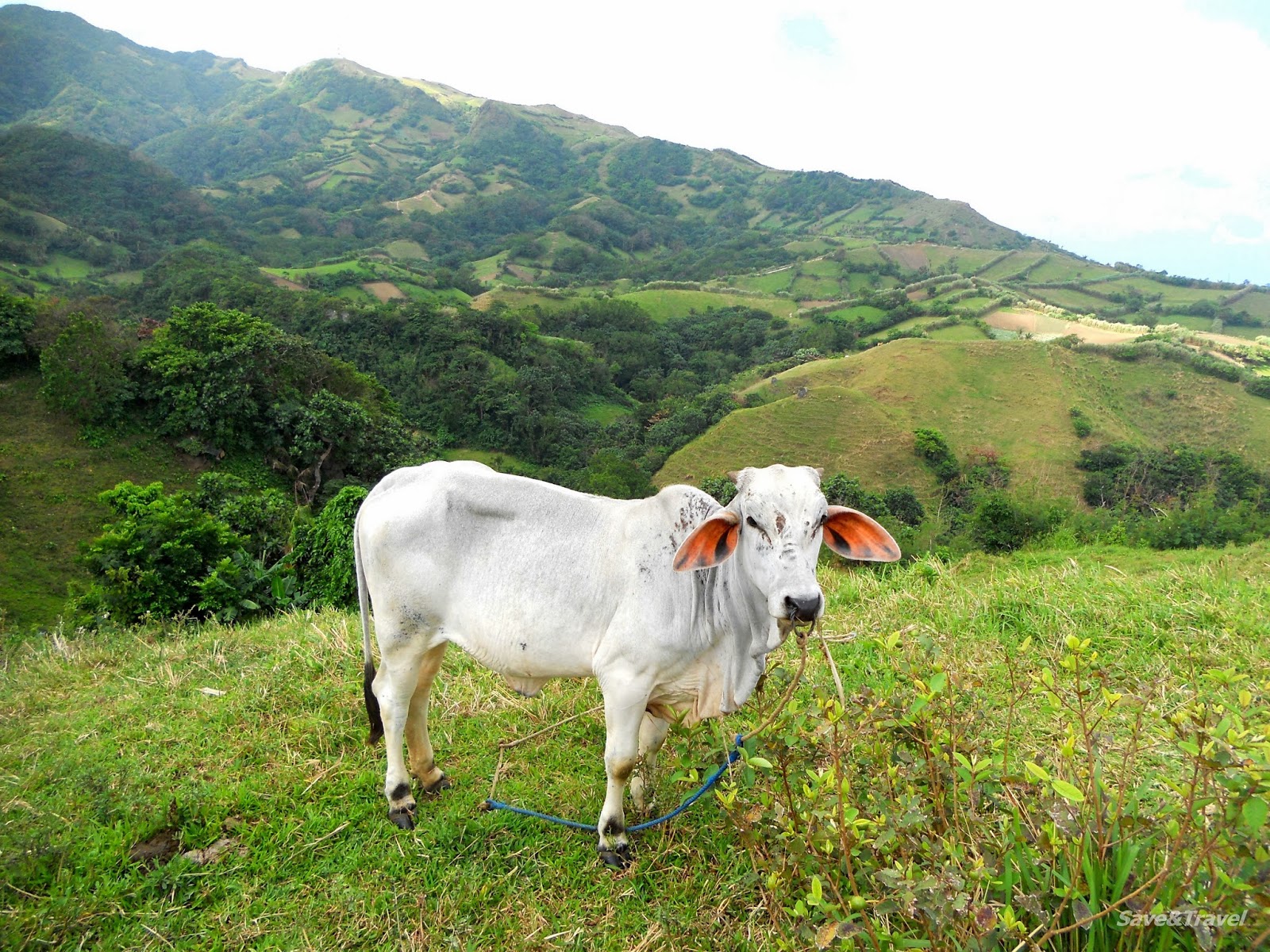 Save & Travel: Batanes - South Batan - Paradise Found