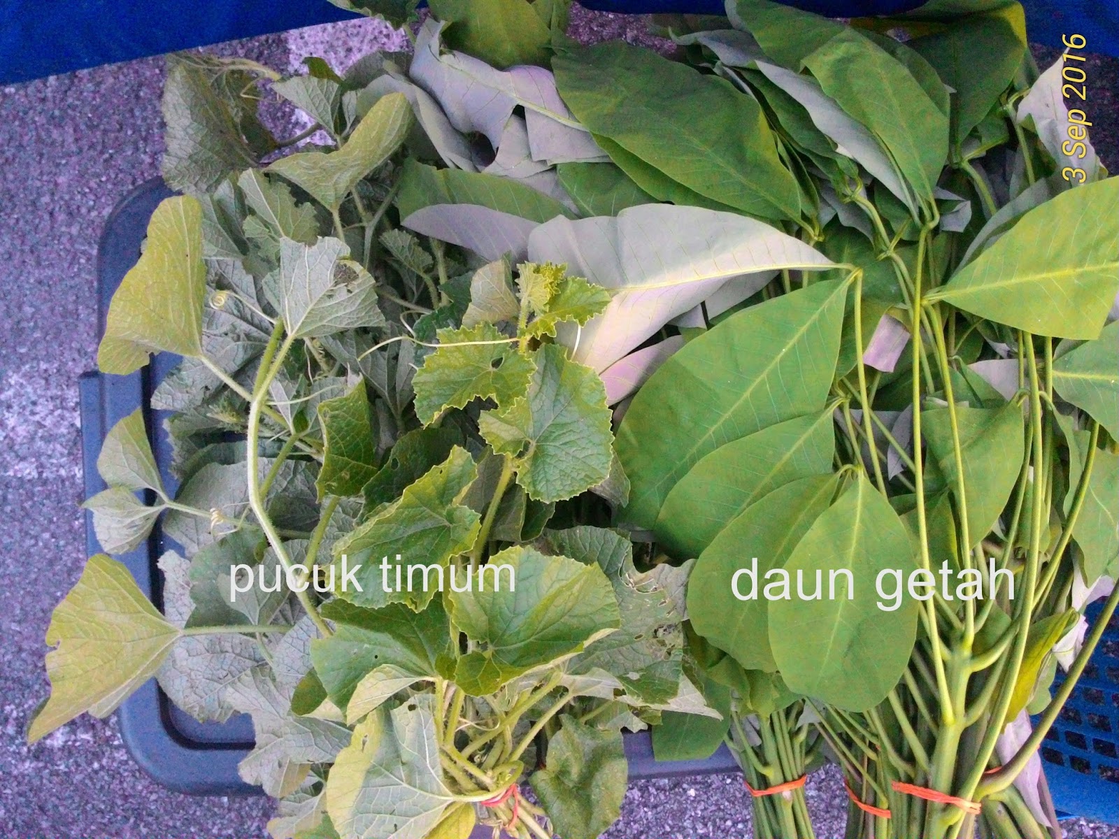 Ongzi's SecretGarden: Pasar Borneo 2016 @ Seri Kembangan