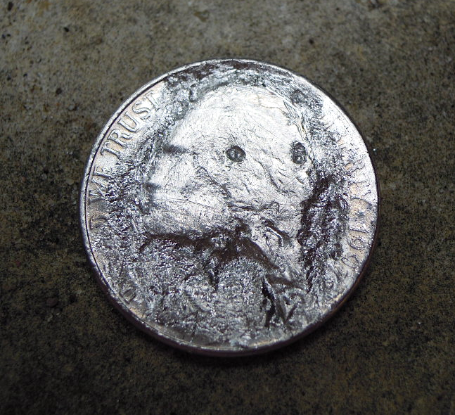 An Elephant a Day: Elephant No. 275: Hobo Nickel