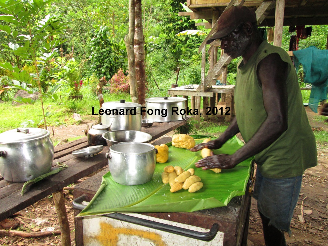 Leonard Fong Roka: Bougainville's Tumpusiong Valley in Pictures-2012