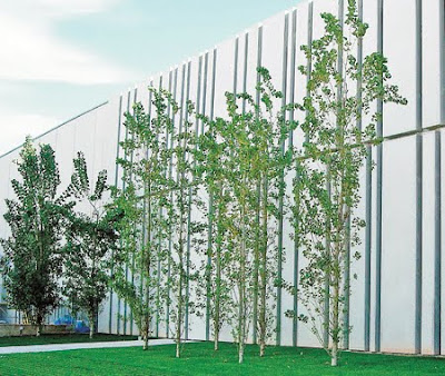 Bardas a prueba del clima | Aprende a Decorar