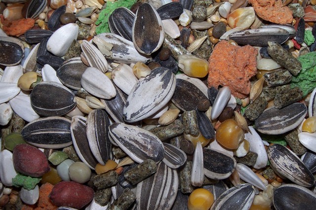 ANIMAL: Diferentes piensos para hámster y funciones de los Ingredientes