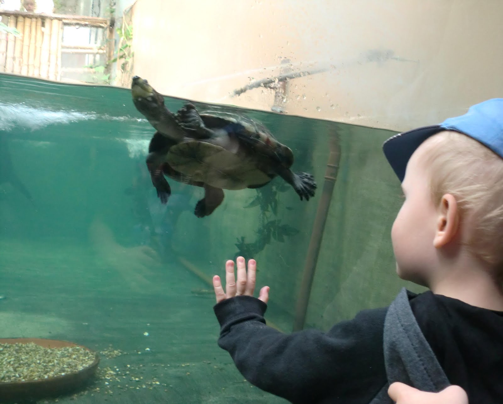 Foreigner in Finland: Helsinki ZOO - Korkeasaari