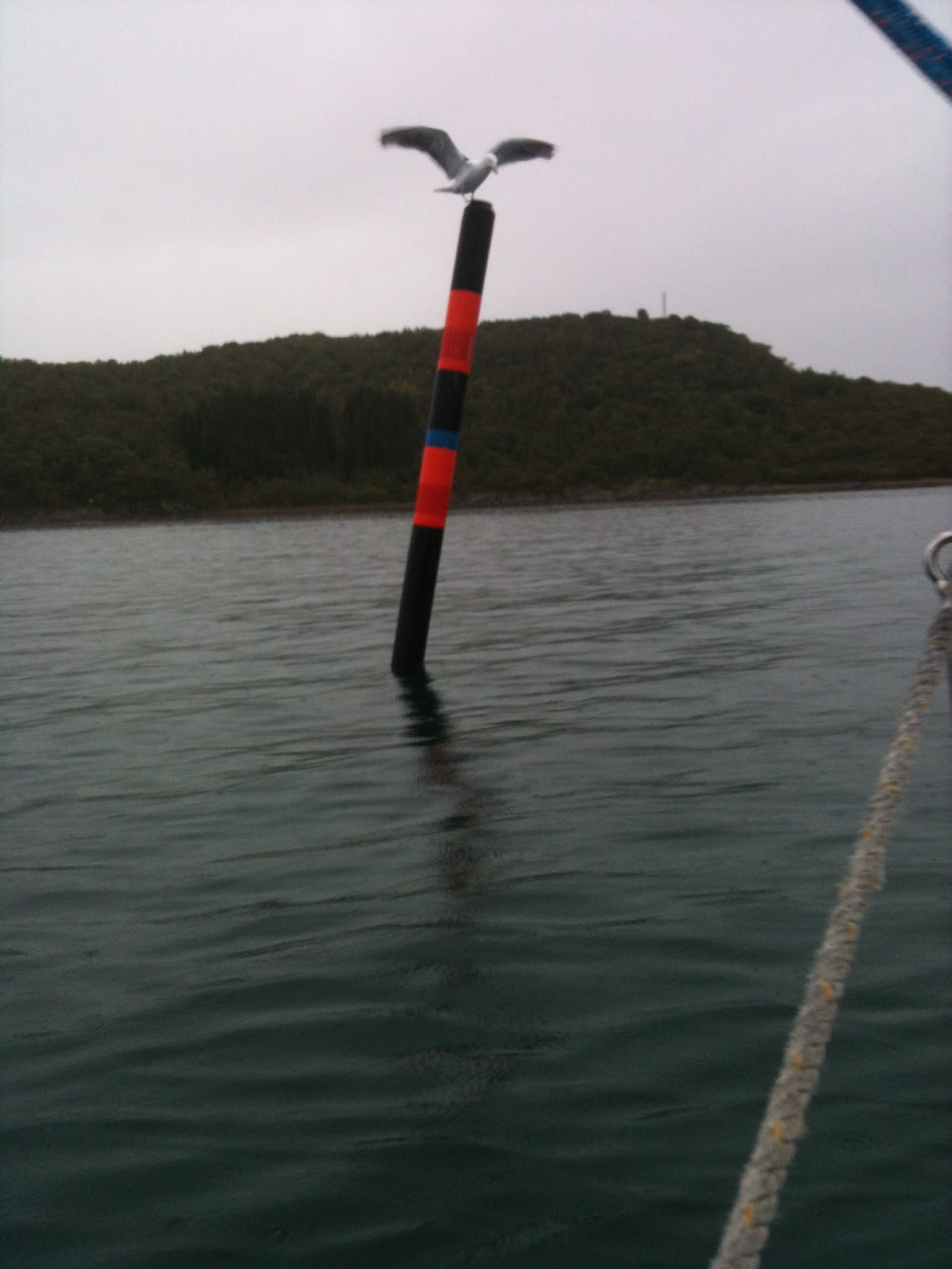 "Annabelle" - Primvent 21