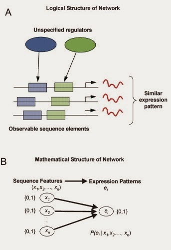#!/perl/bioinfo: Naïve Bayes con pseudoconteos (Laplace)