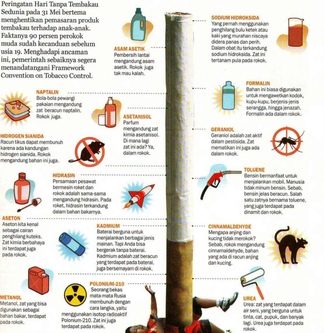 10 fakta tentang rokok, satu daripadanya menjijikan? | Uncang Vitamin Mama