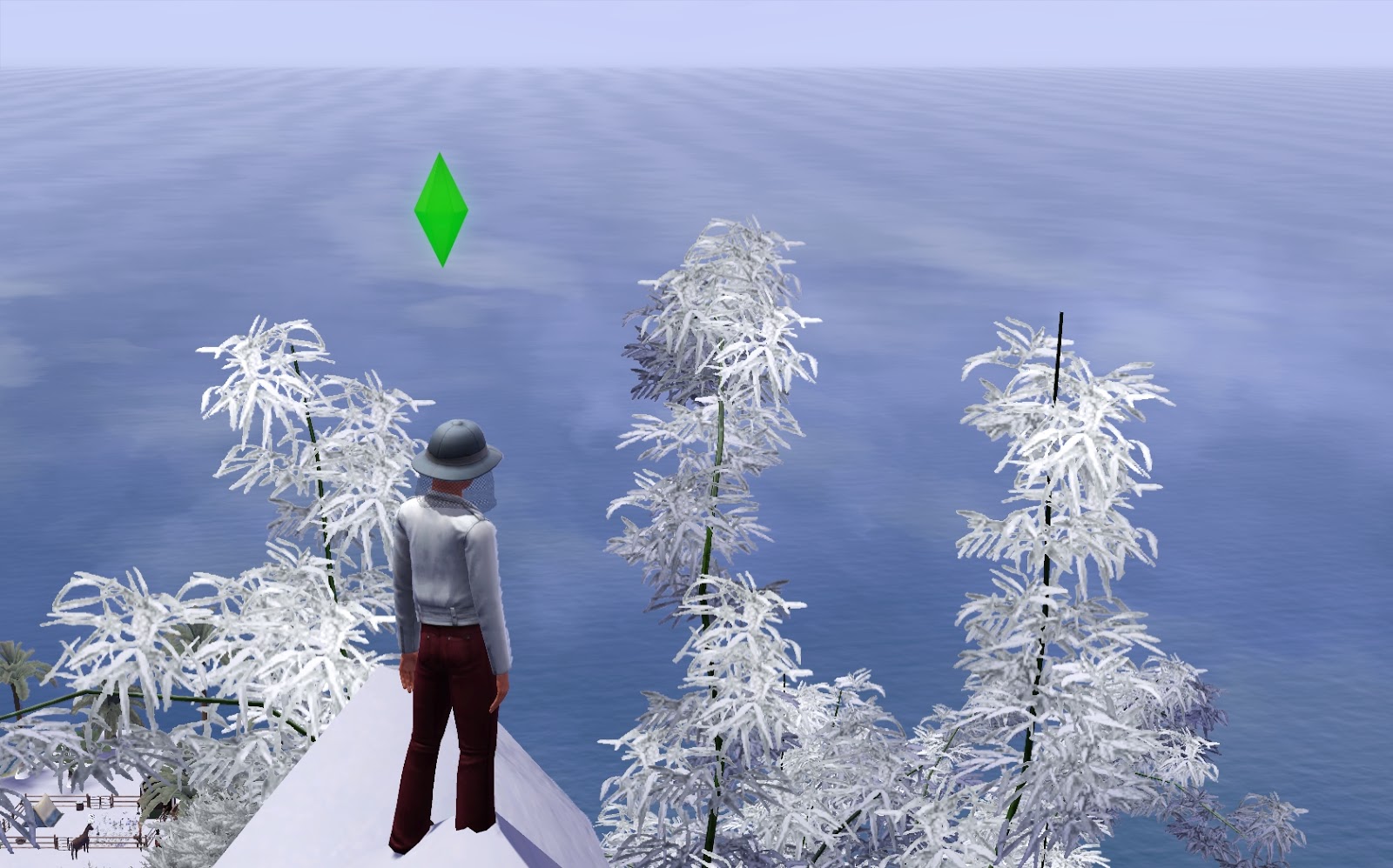 Schmidt Island: Chapter 2 - Survival