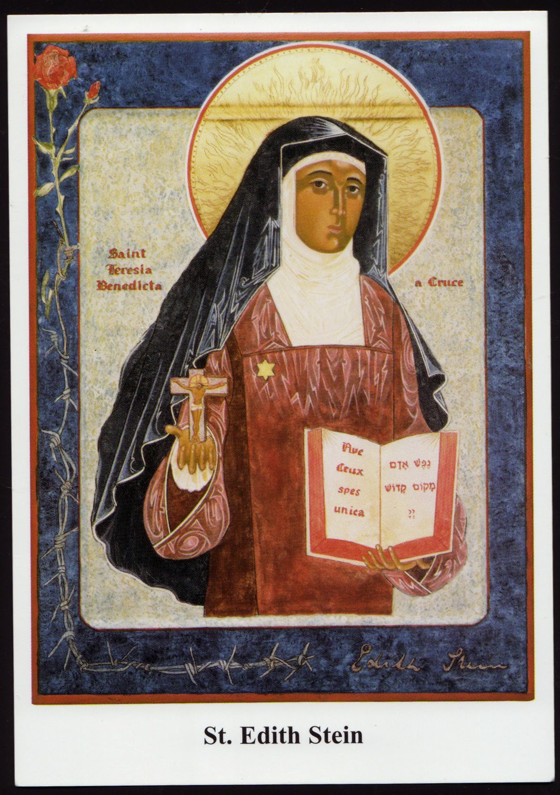 ¿Qué es la Filosofía? de Edith Stein - Peliculas de Santos