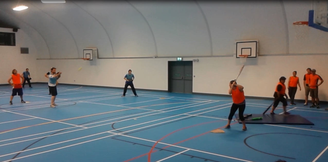 Galway Tribes Softball Club