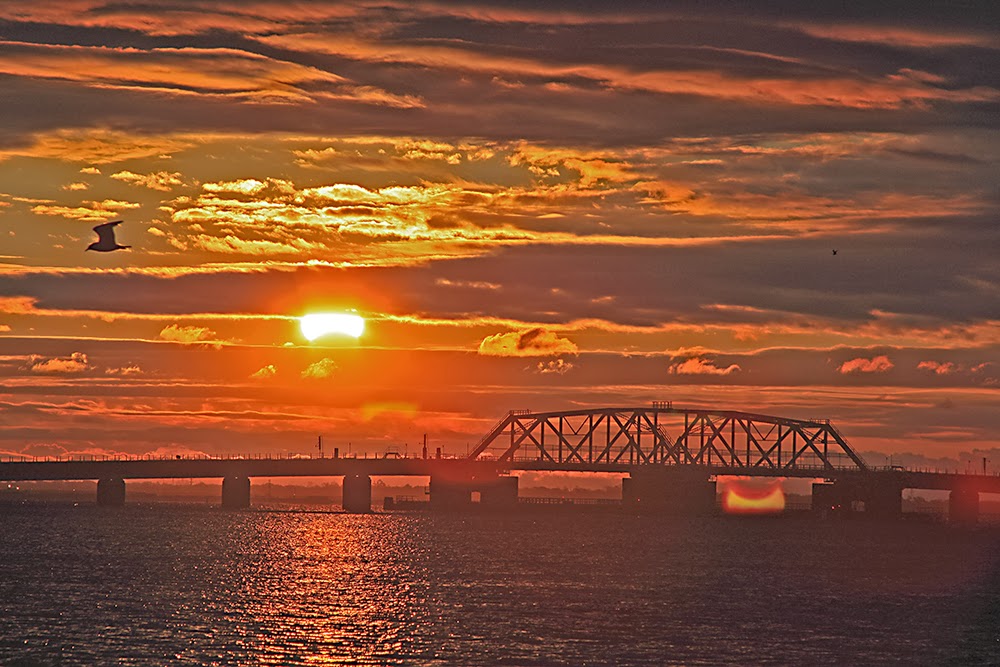 Astrophotography Blog: Solar eclipse from New York November 3, 2013 ...