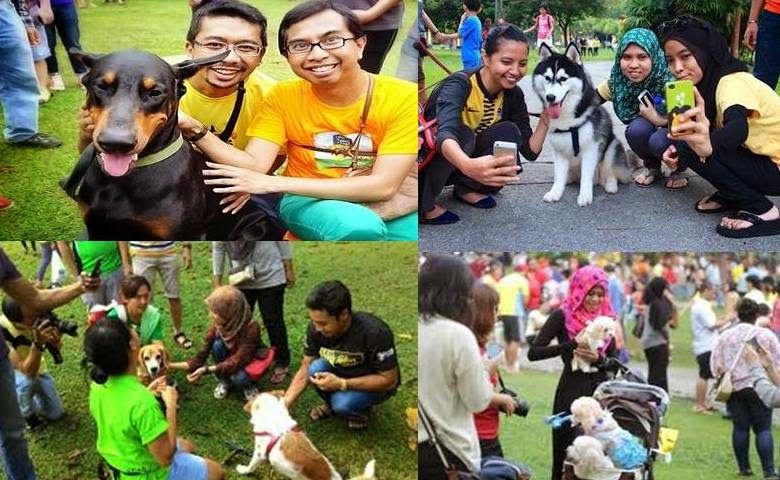 Al Islah: Kempen saya mahu sentuh anjing