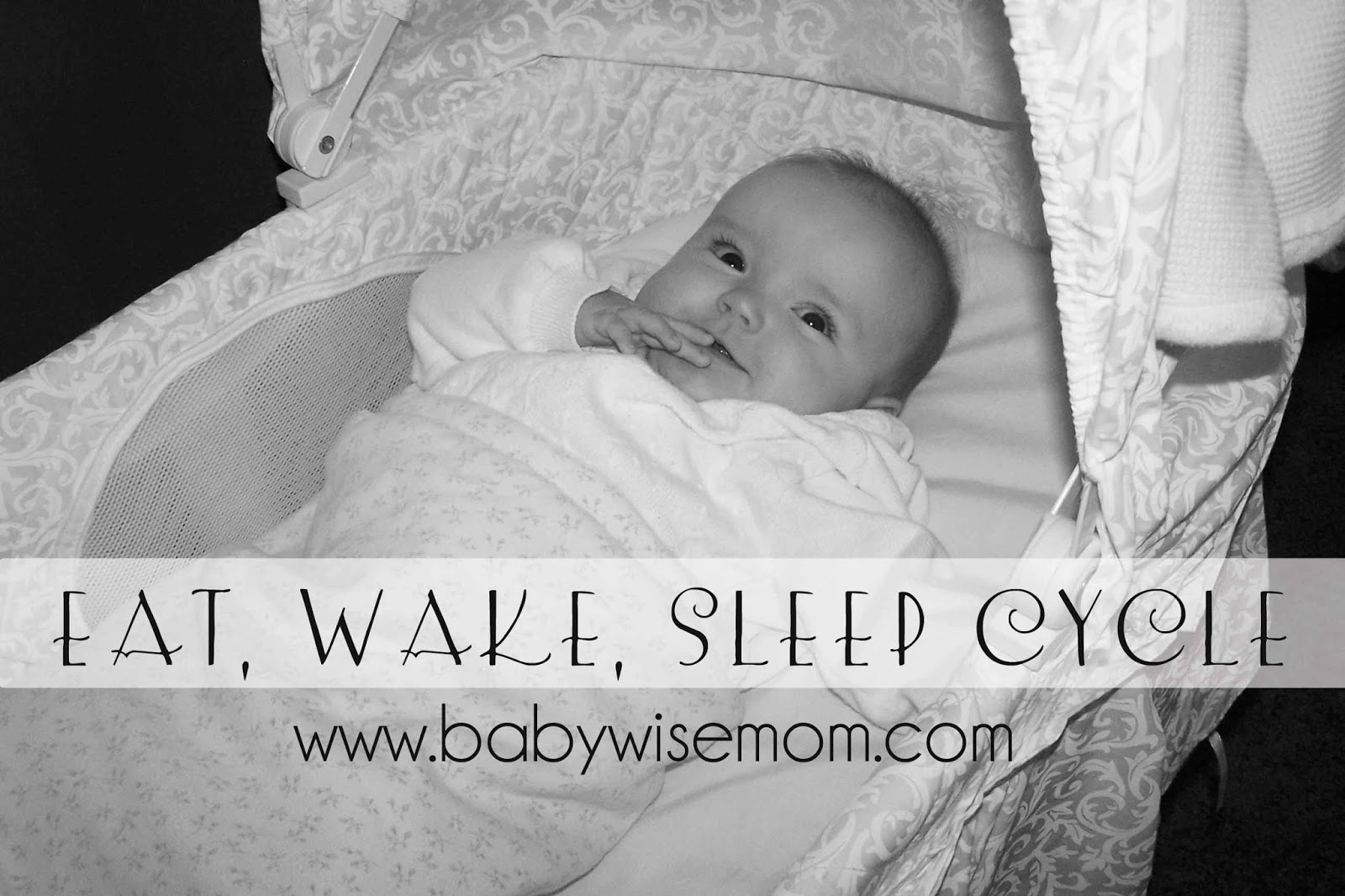 Eat Wake Sleep Cycle Chronicles Of A Babywise Mom eat-wake-sleep-cycle-chronicles-of-a-babywise-mom