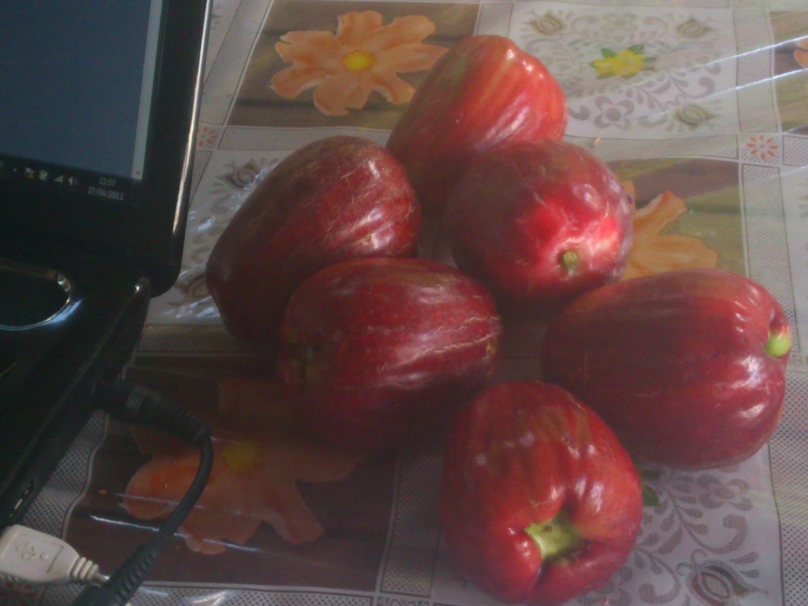 Proud to be Creole: Petites douceurs d'iles : la pomme d'eau