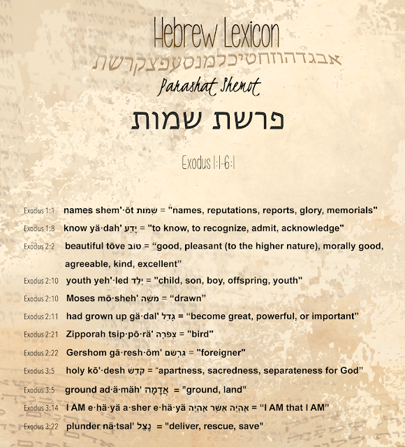 By His EVERY Word: Holy Ground | Parashat Shemot | By His EVERY Word