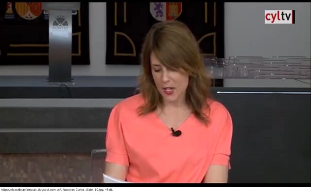 El Baúl de las Famosas: Ana Rayaces ''Nuestras cortes''