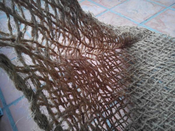Coir Net: Home