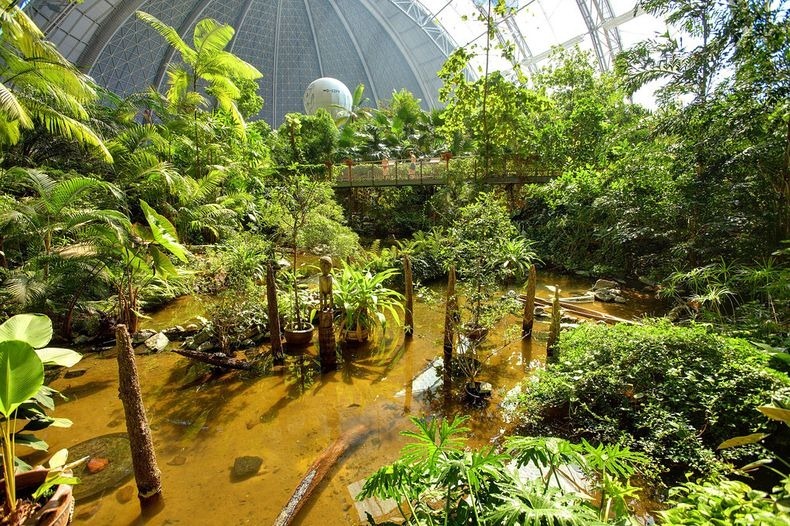 Pix Grove: World's Largest Indoor Rain Forest