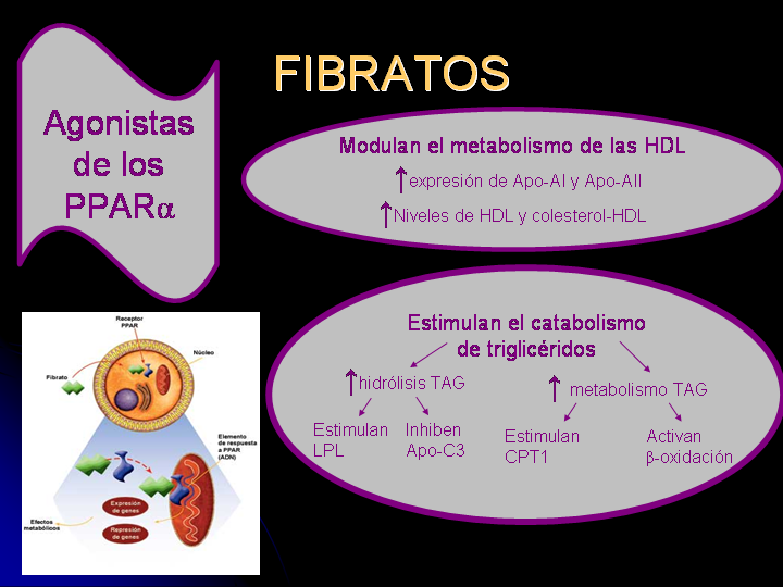 Que es el Colesterol?: noviembre 2014