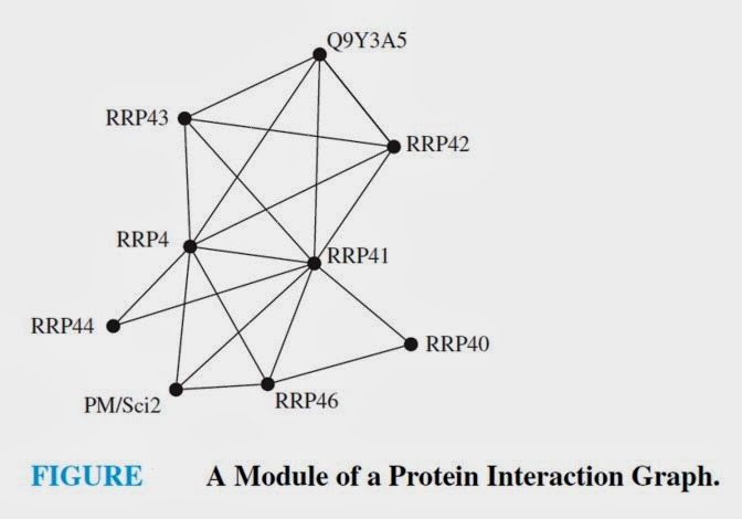Food And Nutrition Protein Interaction Graphs