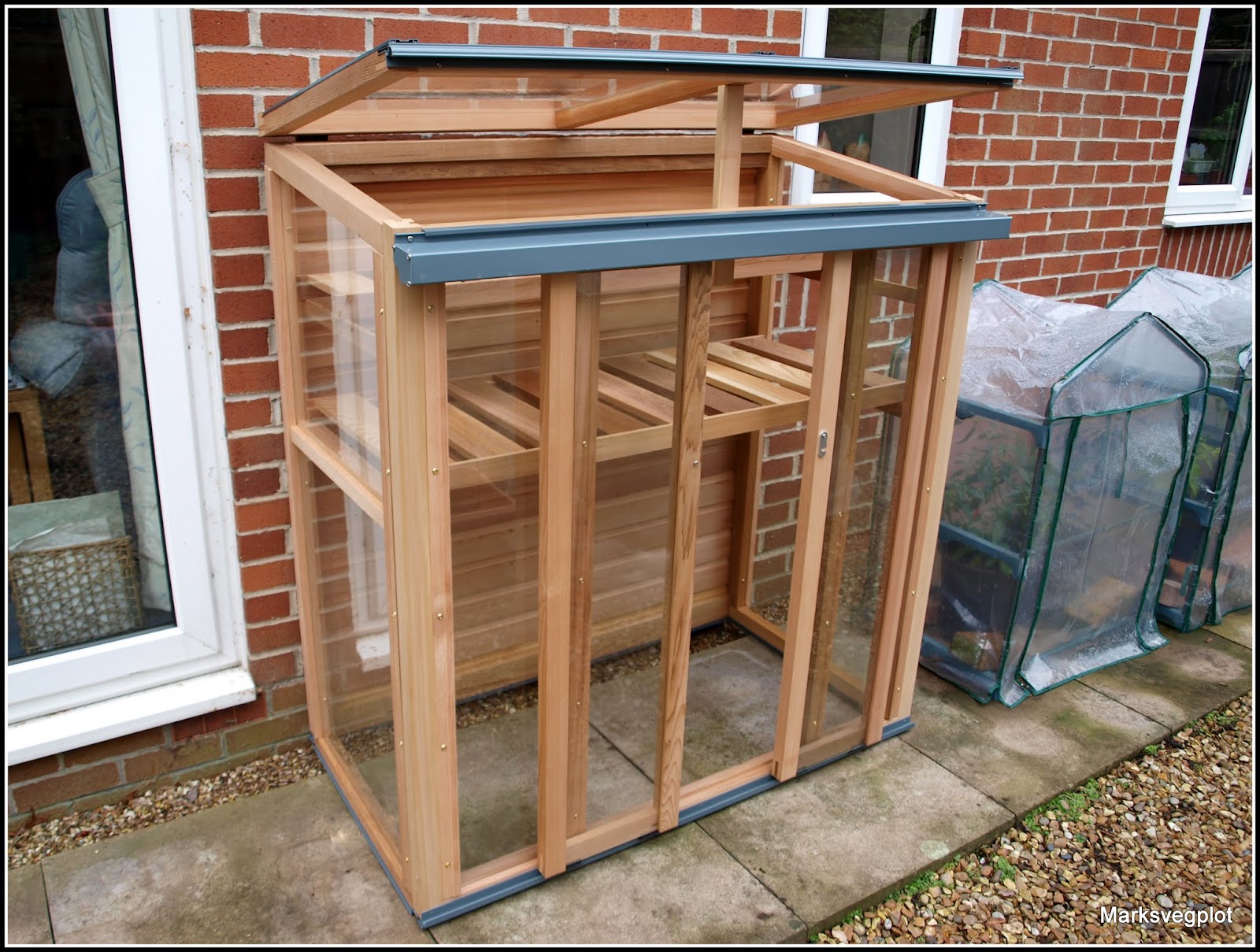 Grow Onions In Cold Frame