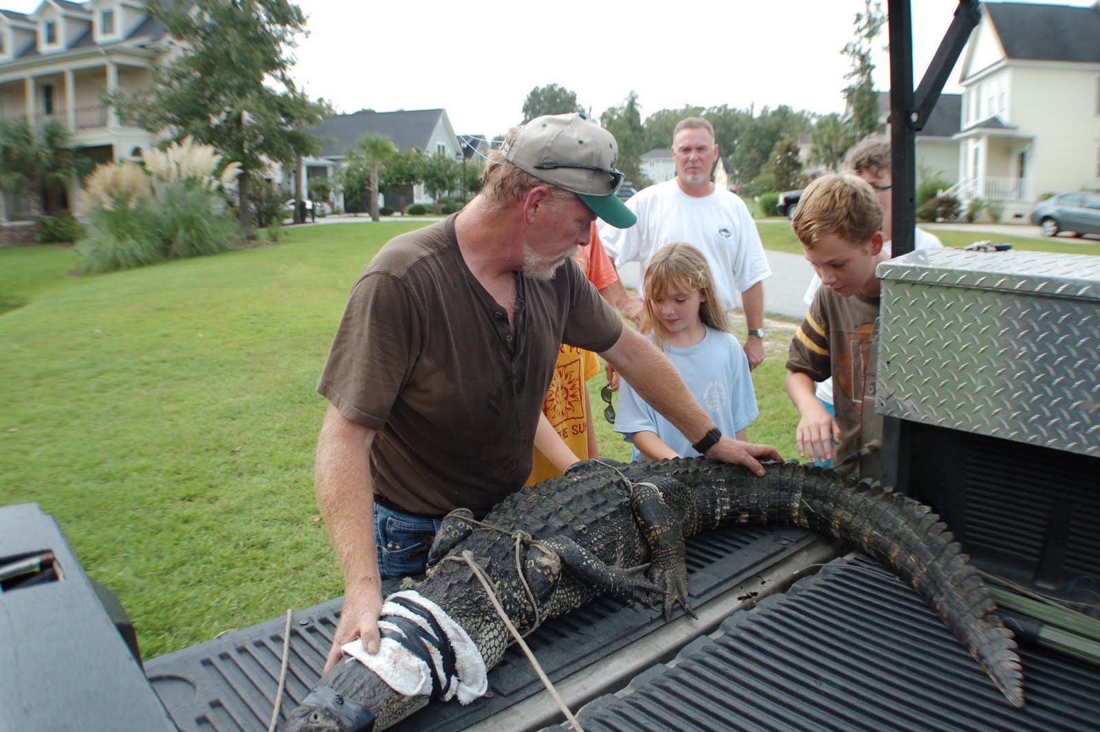 Stone Crab Kids - SC's Youngest Research Team: Alligator Bait