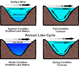 The Agatelady: Adventures and Events: Lake Turnover