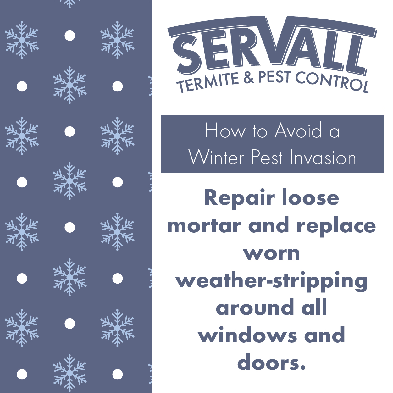 Servall Pest Control: Winter Pest Invasion Tips