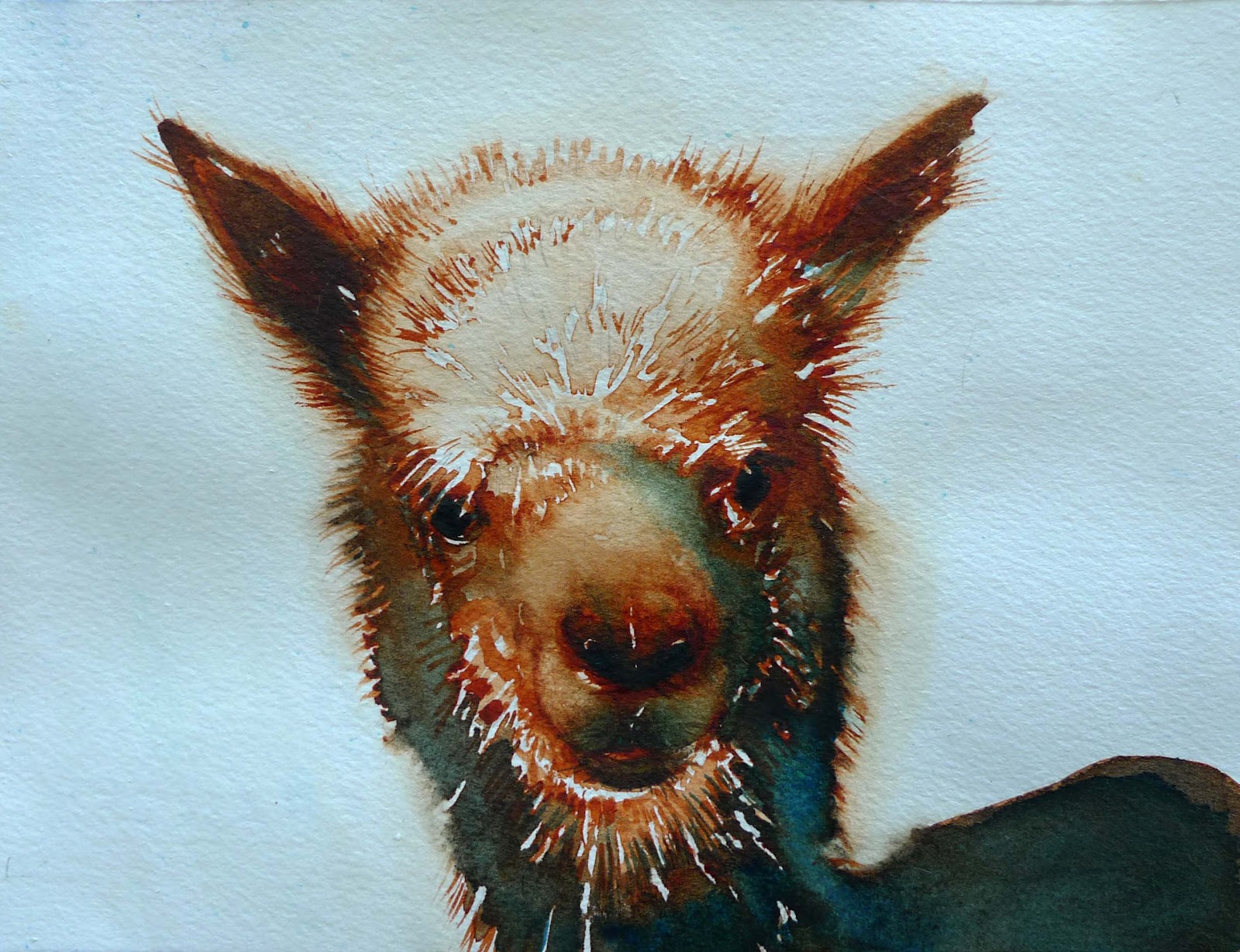paintings: Alpacas!!