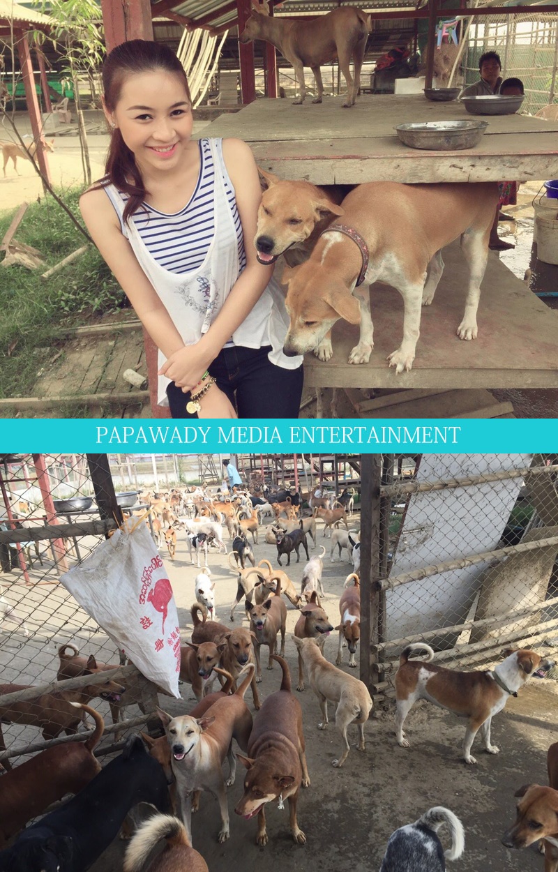 Thandar Bo and Kaung Pyae Visit to Yangon Animal Shelter