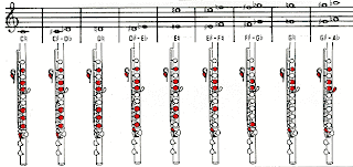 Online Flute Lessons: Flute Lessons