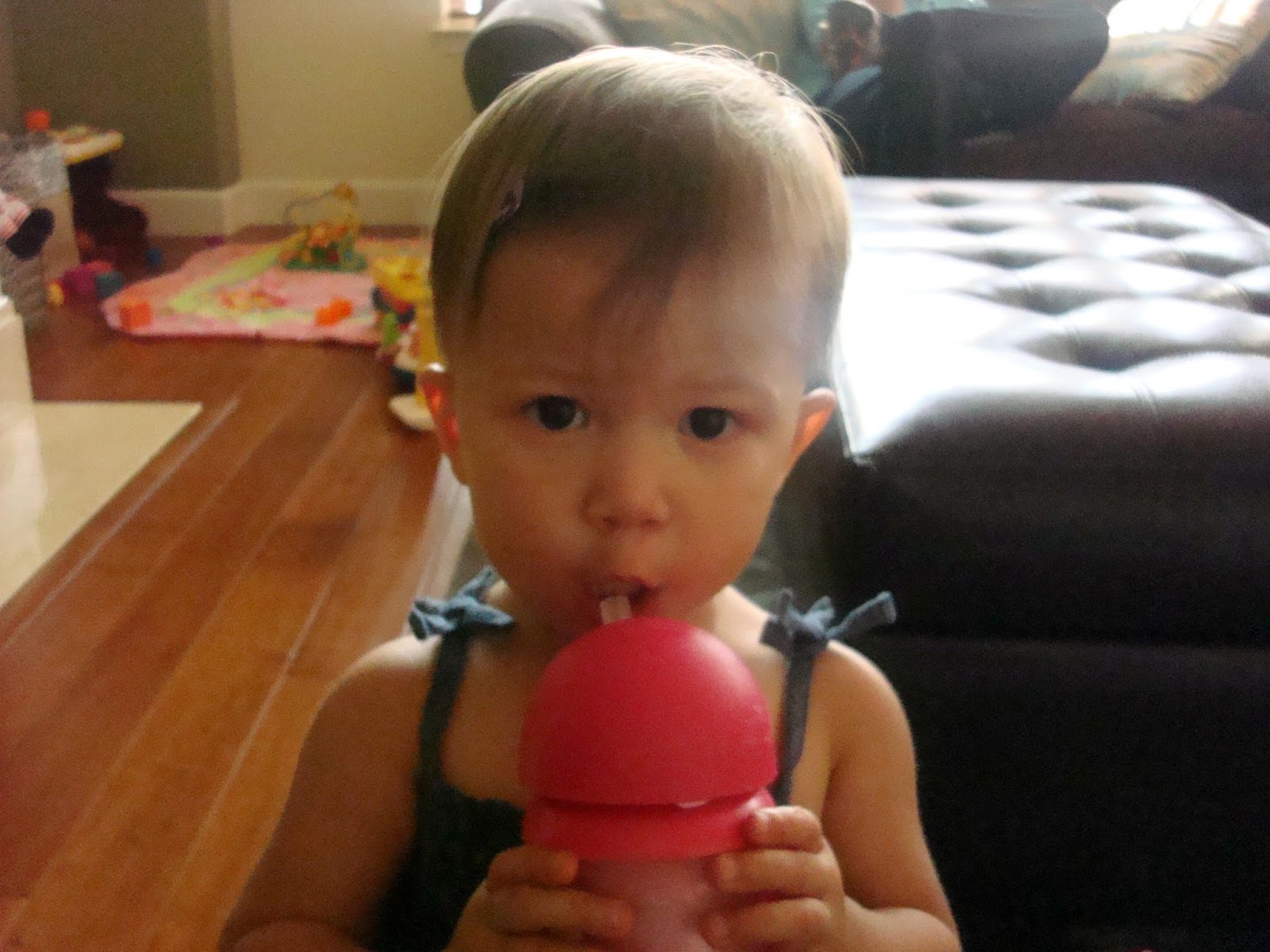 The Kleins: 21 months old today!