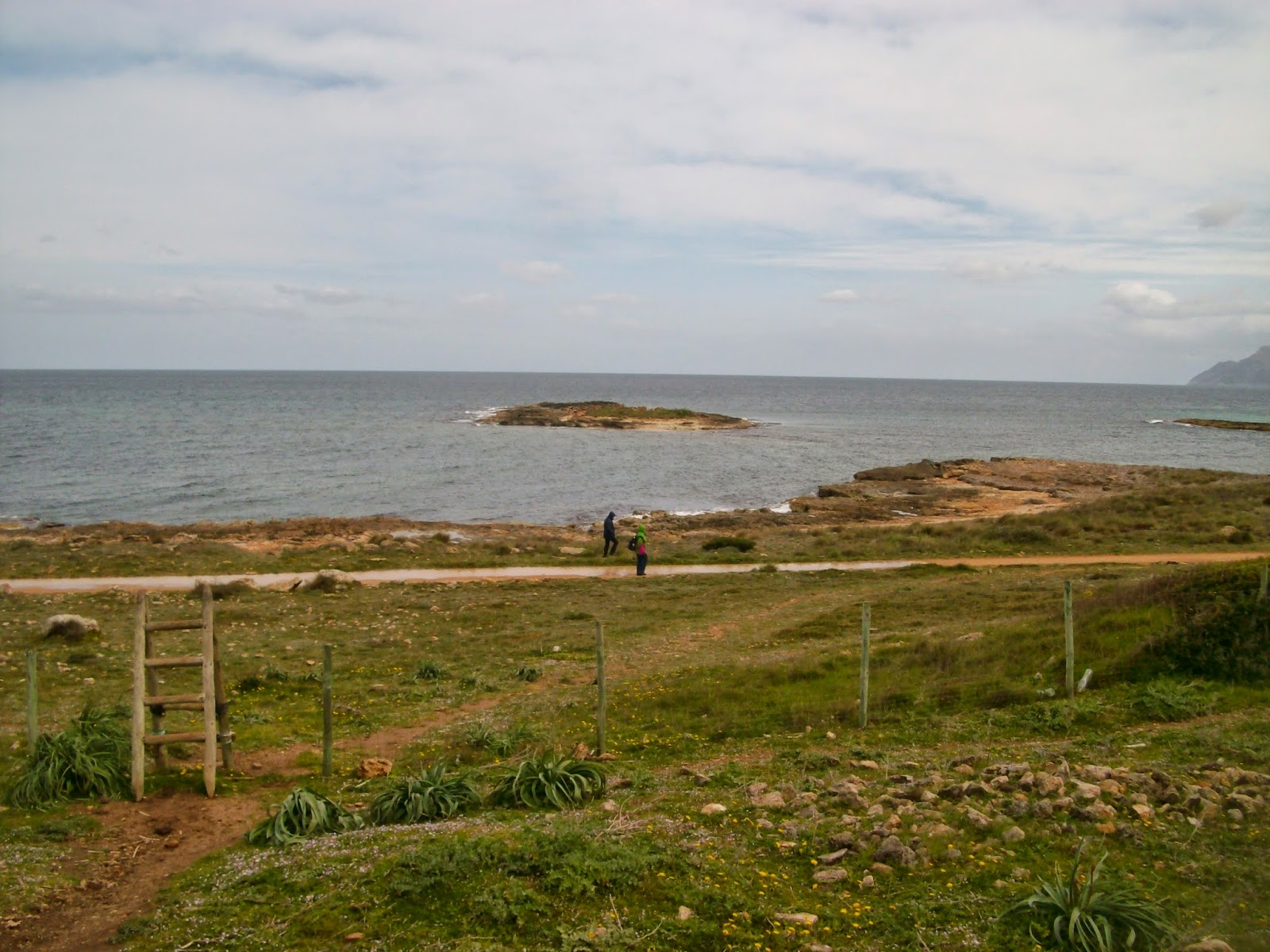 El blog de 6è B 2013-2014 Ceip Son Rullan