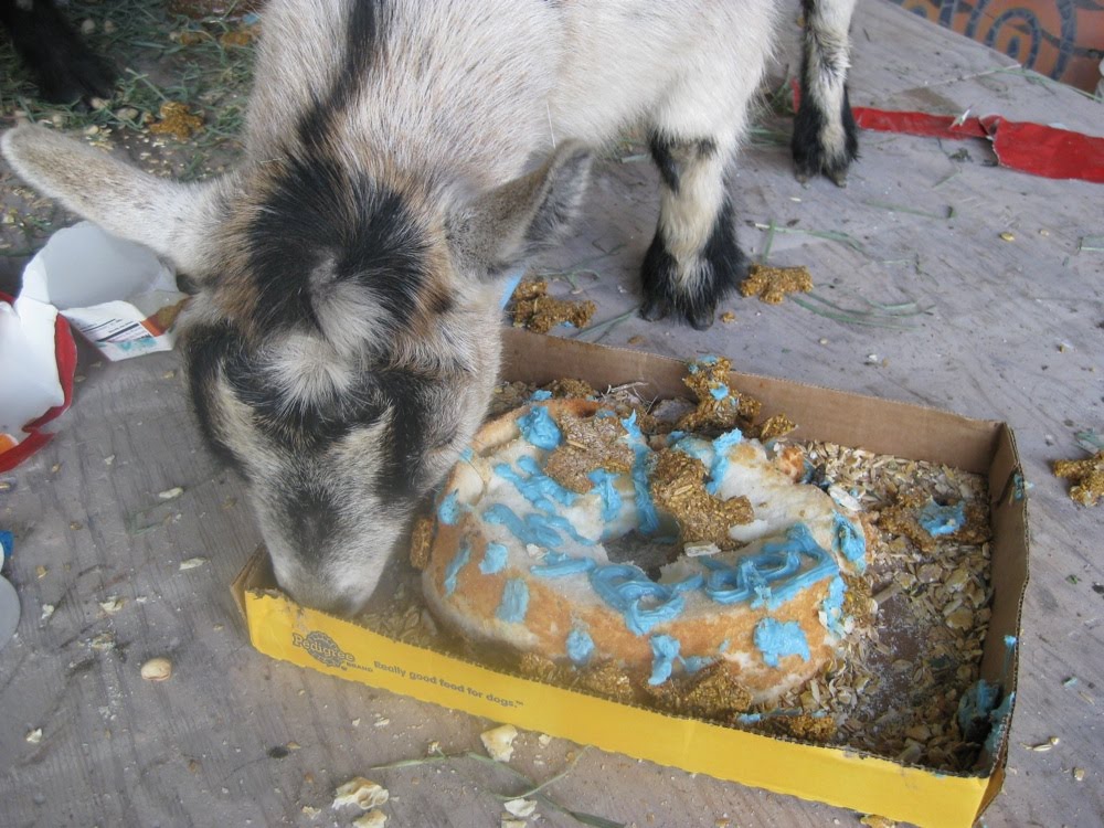Junie None Designs: Goat Birthday Party