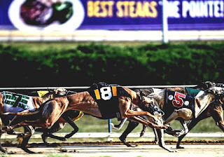 Wheeling Island Hotel-Casino-Racetrack - Wheeling Downs Dog Track