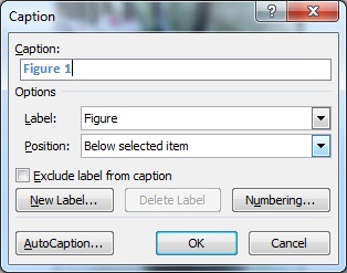 Kalpanie's: Adding captions to figures - in Word 2007